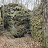 Panther Den Loop, Illinois - 900 Reviews, Map | AllTrails