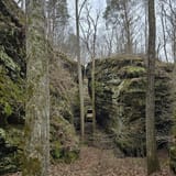 Panther Den Loop, Illinois - 900 Reviews, Map | AllTrails