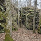 Panther Den Loop, Illinois - 900 Reviews, Map | AllTrails