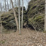 Panther Den Loop, Illinois - 898 Reviews, Map | AllTrails