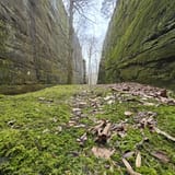 Panther Den Loop, Illinois - 900 Reviews, Map | AllTrails