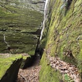 Panther Den Loop, Illinois - 900 Reviews, Map | AllTrails