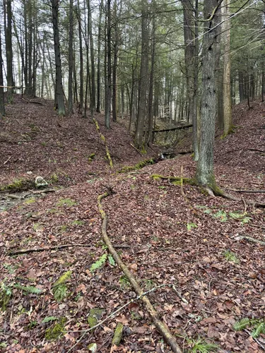 Best Lake Trails in Vestal | AllTrails