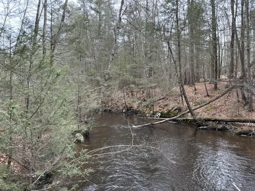 Best Hikes and Trails in Oyster River Forest | AllTrails