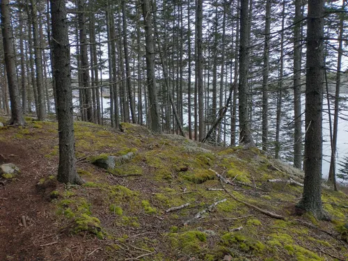 Best Hikes and Trails in Clark Island Preserve | AllTrails