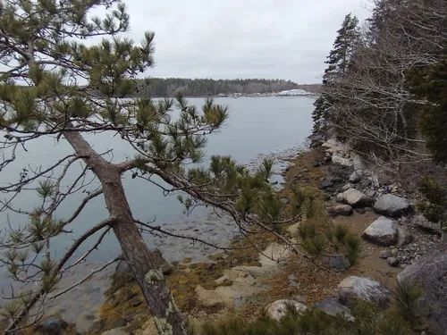 Best Hikes and Trails in Clark Island Preserve | AllTrails