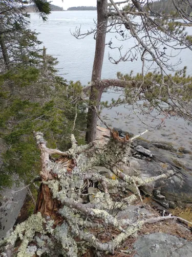 Best Hikes and Trails in Clark Island Preserve | AllTrails