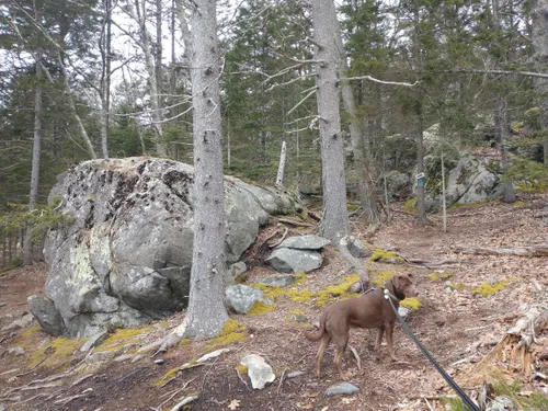 Best Hikes and Trails in Clark Island Preserve | AllTrails