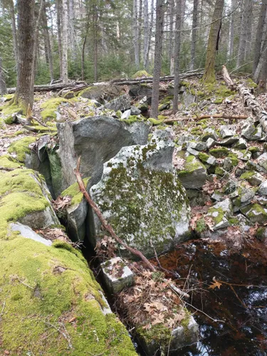 Best Hikes and Trails in Clark Island Preserve | AllTrails