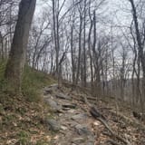 Weverton Cliffs, Maryland - 3,555 Reviews, Map | AllTrails
