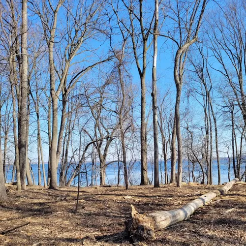 Best Hikes and Trails in Turville Park | AllTrails