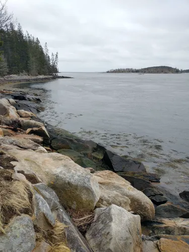 Best Hikes and Trails in Clark Island Preserve | AllTrails