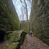 Panther Den Loop, Illinois - 900 Reviews, Map | AllTrails