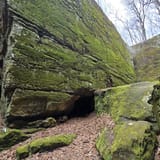 Panther Den Loop, Illinois - 900 Reviews, Map | AllTrails