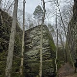 Panther Den Loop, Illinois - 946 Reviews, Map | AllTrails