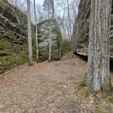 Panther Den Loop, Illinois - 946 Reviews, Map | AllTrails