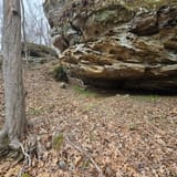 Panther Den Loop, Illinois - 946 Reviews, Map | AllTrails