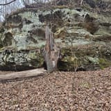 Panther Den Loop, Illinois - 946 Reviews, Map | AllTrails