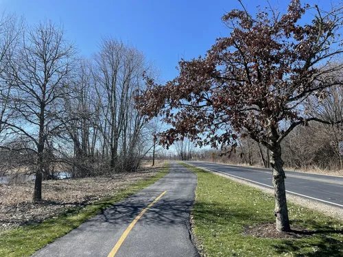 Best Hikes and Trails in Songbird Slough Forest Preserve | AllTrails