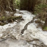 Faraway Mountain and Mount Roberts Loop, New Hampshire - 388 Reviews ...