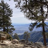Desert View Trail, California - 1,636 Reviews, Map | AllTrails