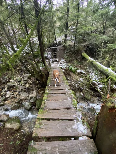 Best Lake Trails in Sumas Mountain Regional Park | AllTrails