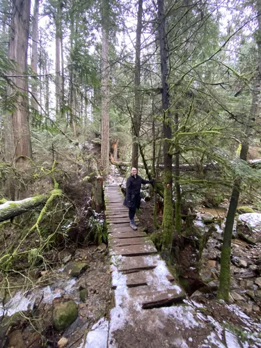 Best Lake Trails in Sumas Mountain Regional Park | AllTrails