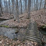 Poor Farm Park Trails, Virginia - 641 Reviews, Map | AllTrails