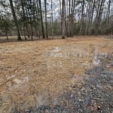 Poor Farm Park Trails, Virginia - 641 Reviews, Map | AllTrails