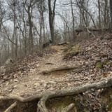 George W. Disney Trail, Georgia - 524 Reviews, Map | AllTrails