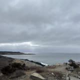 Halibut Point Trail, Massachusetts - 1,363 Reviews, Map | AllTrails