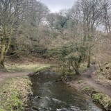 Beamish Park and Causey Arch Circular, County Durham, England - 423 ...