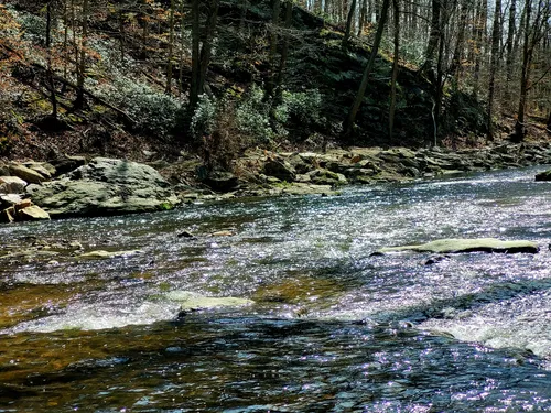 Best River Trails In Elk Mills Alltrails
