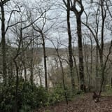 Morgan Falls Overlook Trail, Georgia - 269 Reviews, Map | AllTrails