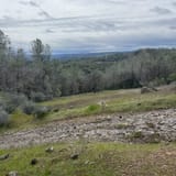 Olmstead Loop and Wendell Robie Trail, California - 2,926 Reviews, Map ...