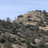 Panorama Loop, California - 2,809 Reviews, Map | AllTrails
