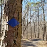 Bench Trail, Arkansas - 530 Reviews, Map | AllTrails