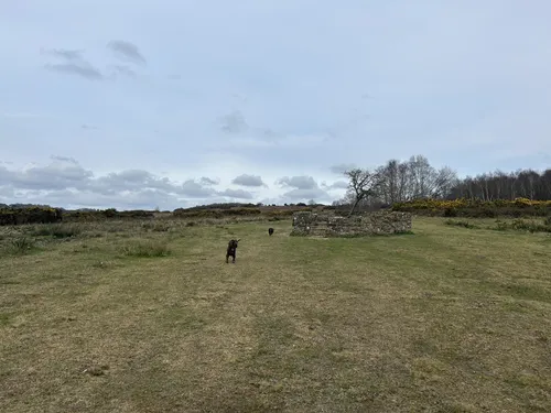 Best River Trails in Ashdown Forest | AllTrails