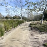 Jeffrey Open Space Trail, California - 1,522 Reviews, Map | AllTrails