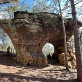 Levis/Trow Mounds Trail, Wisconsin - 268 Reviews, Map | AllTrails