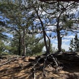 Levis/Trow Mounds Trail, Wisconsin - 268 Reviews, Map | AllTrails