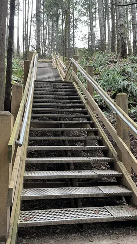 Best Hikes and Trails in Latoria Creek Park | AllTrails