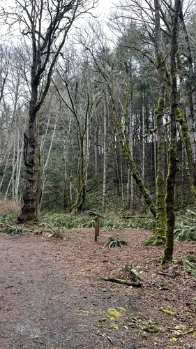 Best Hikes and Trails in Latoria Creek Park | AllTrails