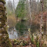 Elk Ridge, Hermit, Sherwood, Washington - 276 Reviews, Map | AllTrails