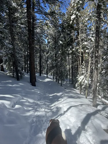 Best Wildflowers Trails in Meyer Ranch Park | AllTrails