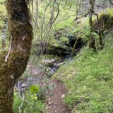 Old Flume Trail (Red Shack Trail), California - 796 Reviews, Map ...