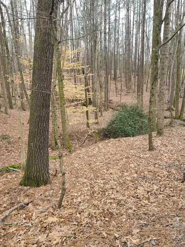 Best Hikes and Trails in Webb Bridge Park | AllTrails