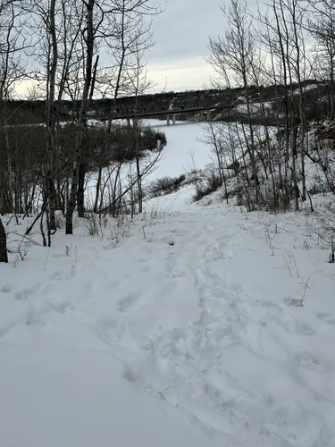 Best River Trails in Devon Voyageur Park | AllTrails