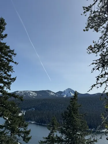 Best Hikes and Trails in Gold Lake Bog Research Natural Area | AllTrails