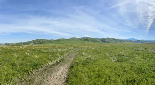 Best Walking Trails in Wind Wolves Preserve | AllTrails